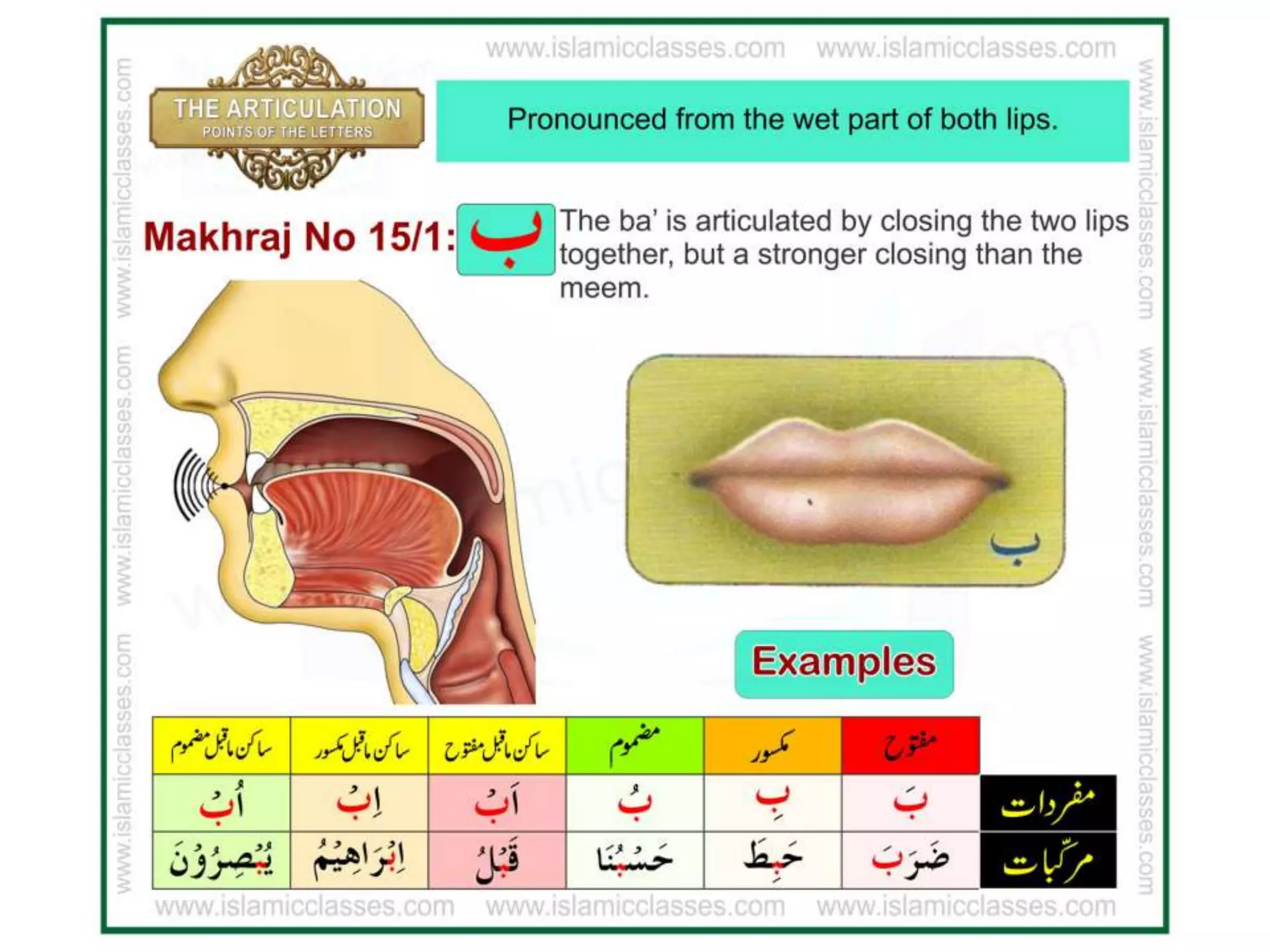Articulation Points of The Letter - Tajweed Makharij al Huruf pdf | PPTX