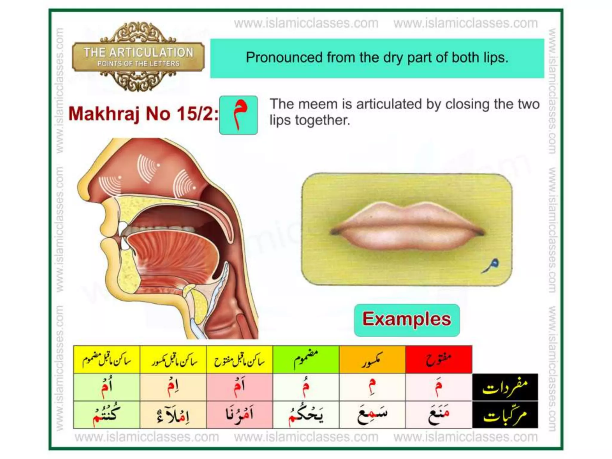 Articulation Points of The Letter - Tajweed Makharij al Huruf pdf | PPTX