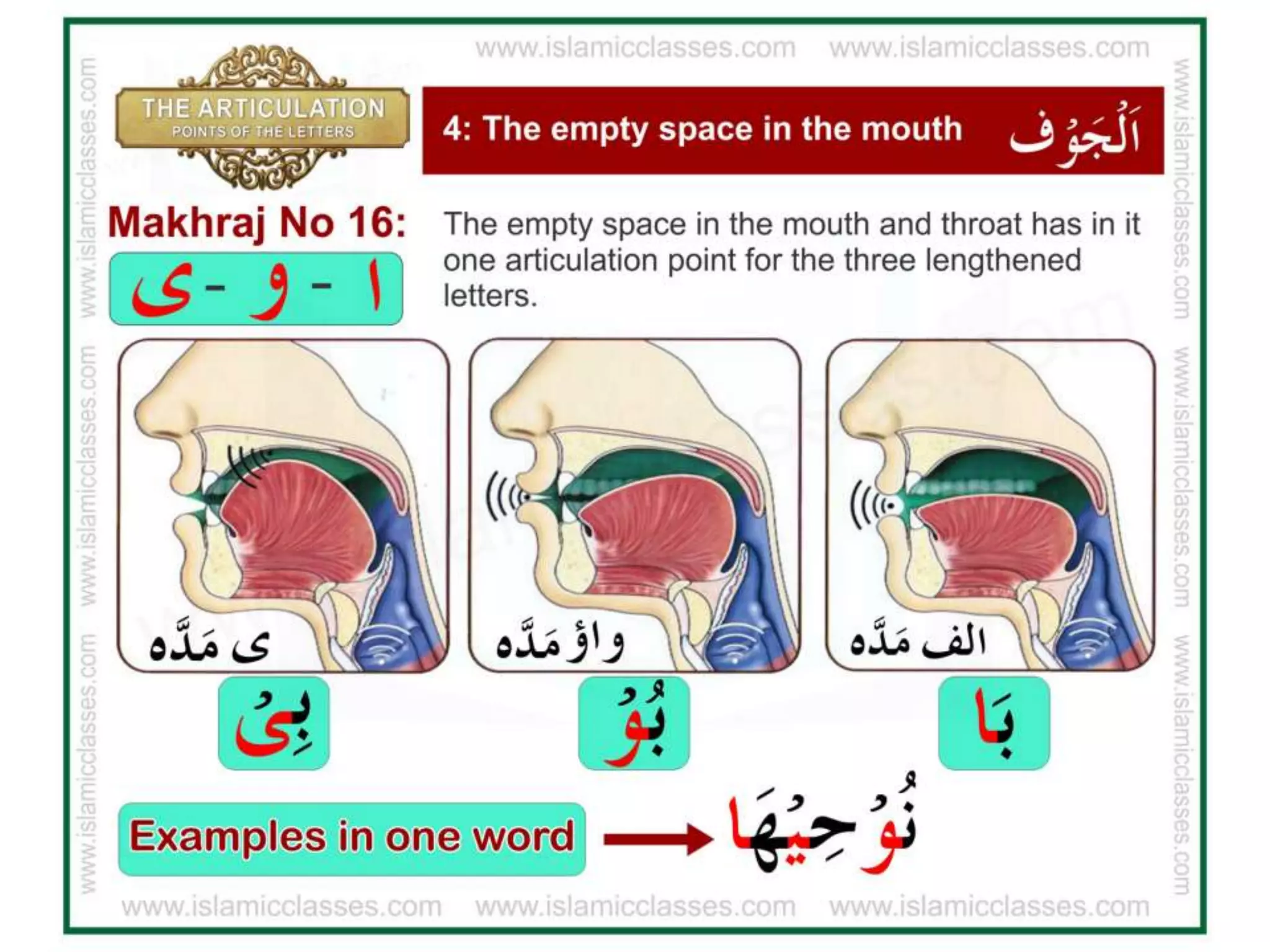 Articulation Points of The Letter - Tajweed Makharij al Huruf pdf | PPTX