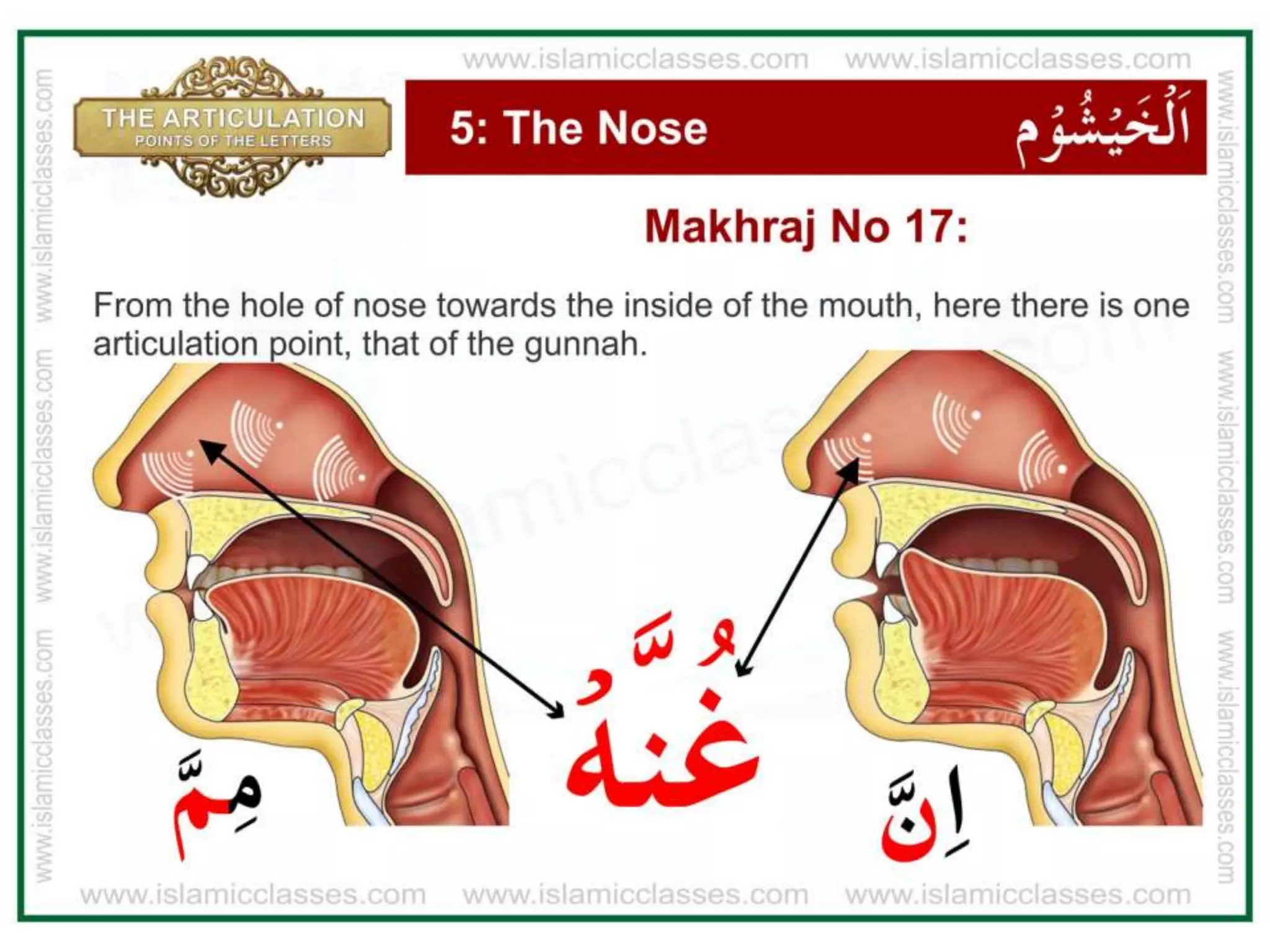 Articulation Points of The Letter - Tajweed Makharij al Huruf pdf | PPTX