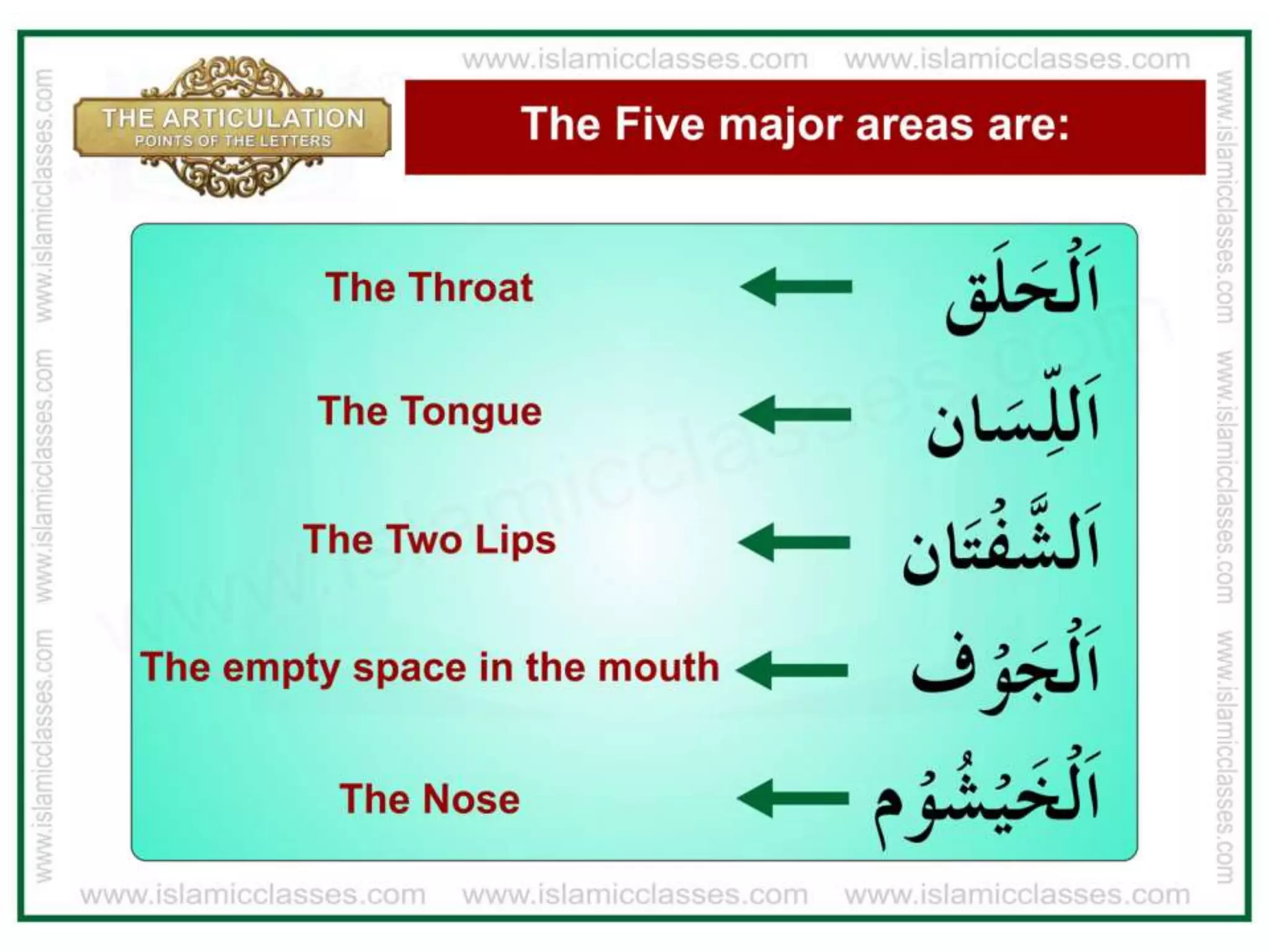 Articulation Points of The Letter - Tajweed Makharij al Huruf pdf | PPTX