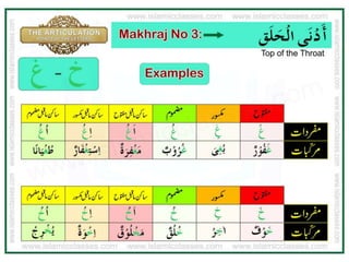 Articulation Points of The Letter - Tajweed Makharij al Huruf pdf | PPTX