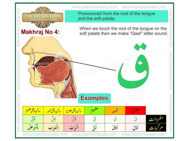 Articulation Points of The Letter - Tajweed Makharij al Huruf pdf | PPTX