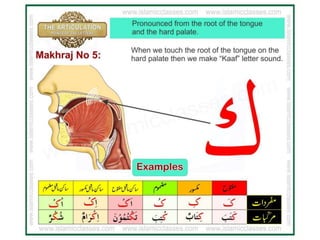 Articulation Points of The Letter - Tajweed Makharij al Huruf pdf | PPTX