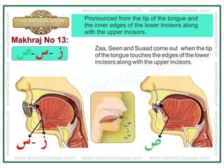 Articulation Points of The Letter - Tajweed Makharij al Huruf pdf | PPTX