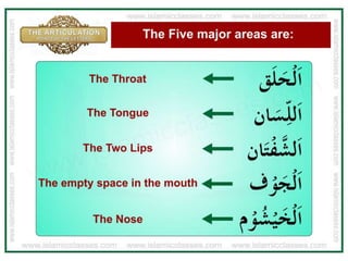 Articulation Points of The Letter - Tajweed Makharij al Huruf pdf | PPTX
