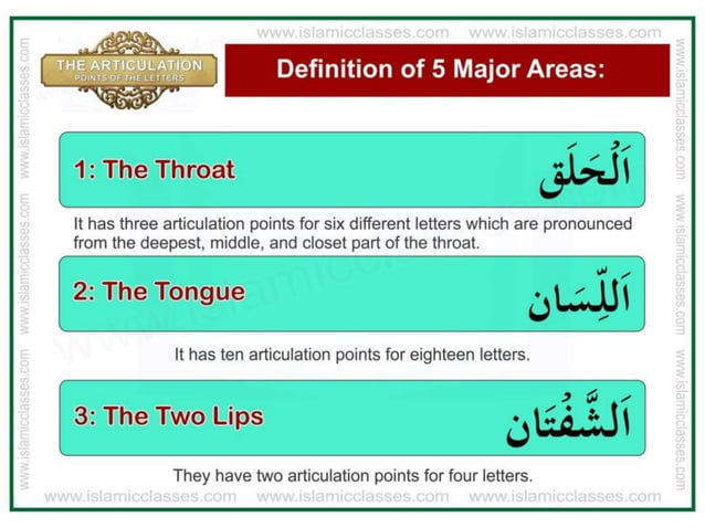 Articulation Points of The Letter - Tajweed Makharij al Huruf pdf | PPTX