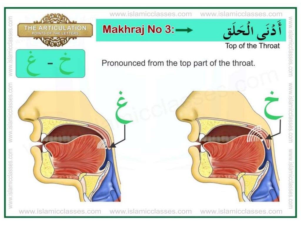Articulation Points of The Letter - Tajweed Makharij al Huruf pdf