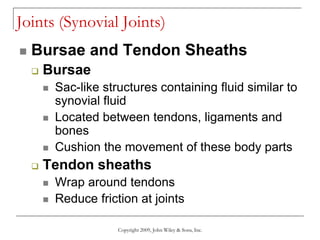Articulation_PowerPoint.ppt