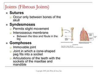 Articulation_PowerPoint.ppt