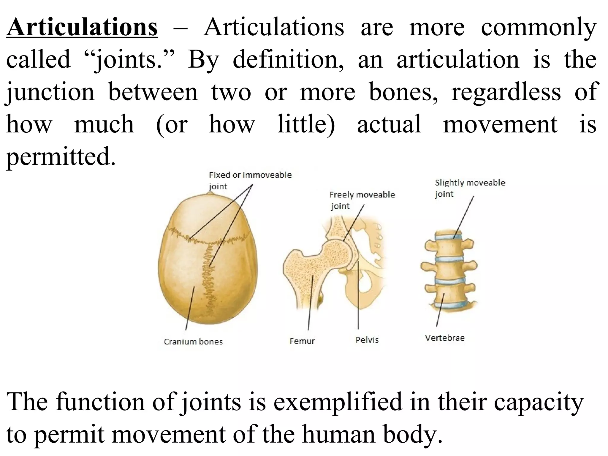 Articulations | PPT
