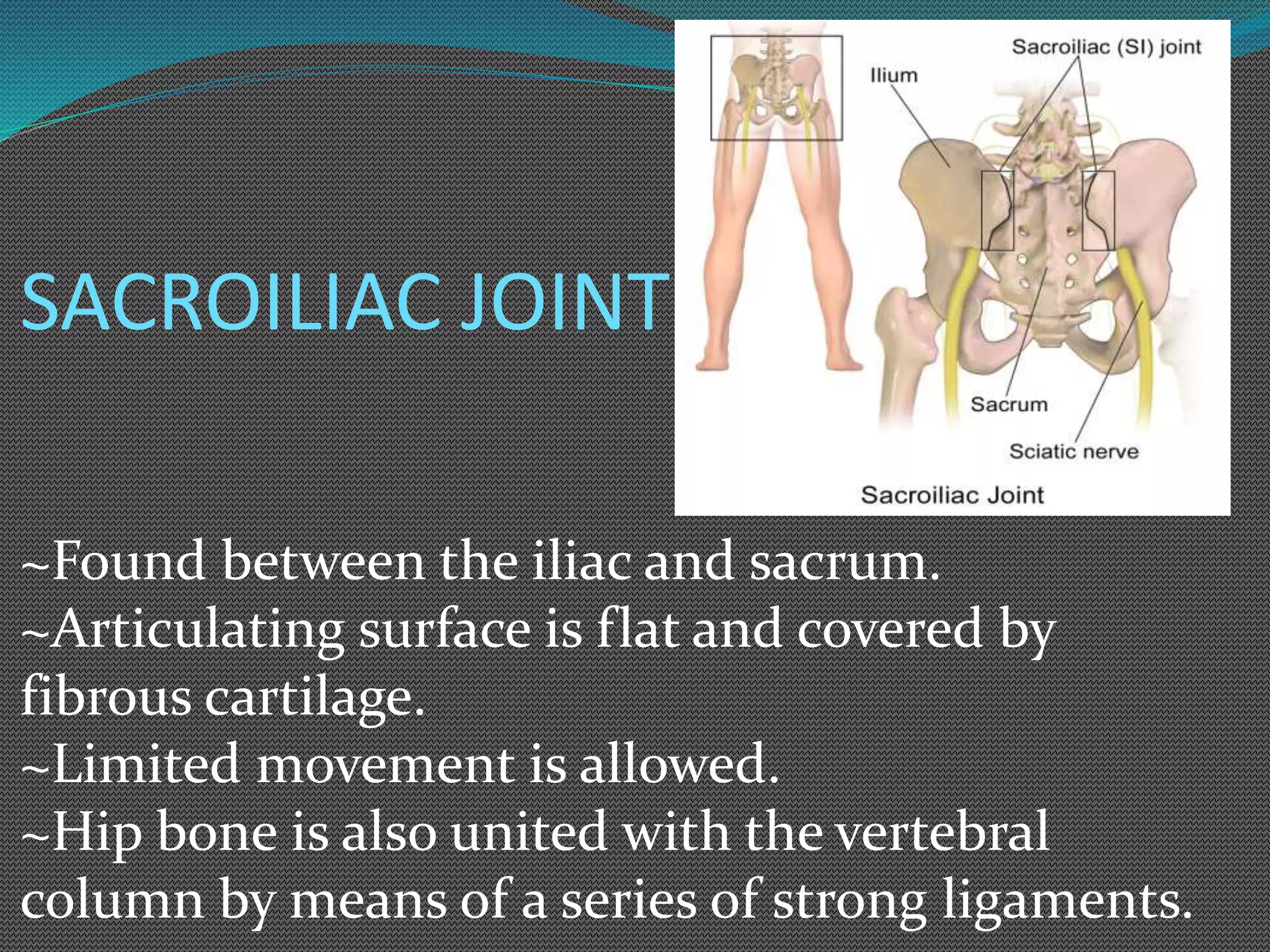 Articulations of lower limb | PPTX