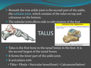 Articulations of lower limb | PPTX