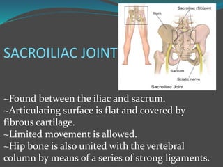 Articulations of lower limb | PPTX