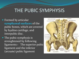 Articulations of lower limb | PPTX