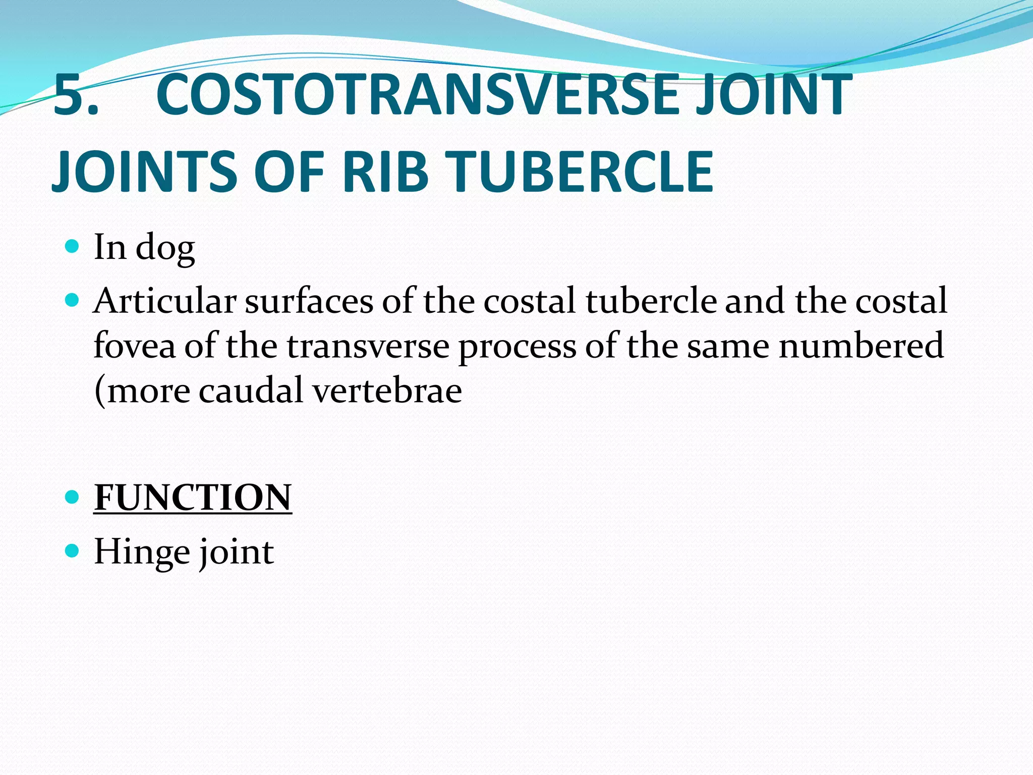 Articulations of the_vertebral_column_and_ribs | PPTX