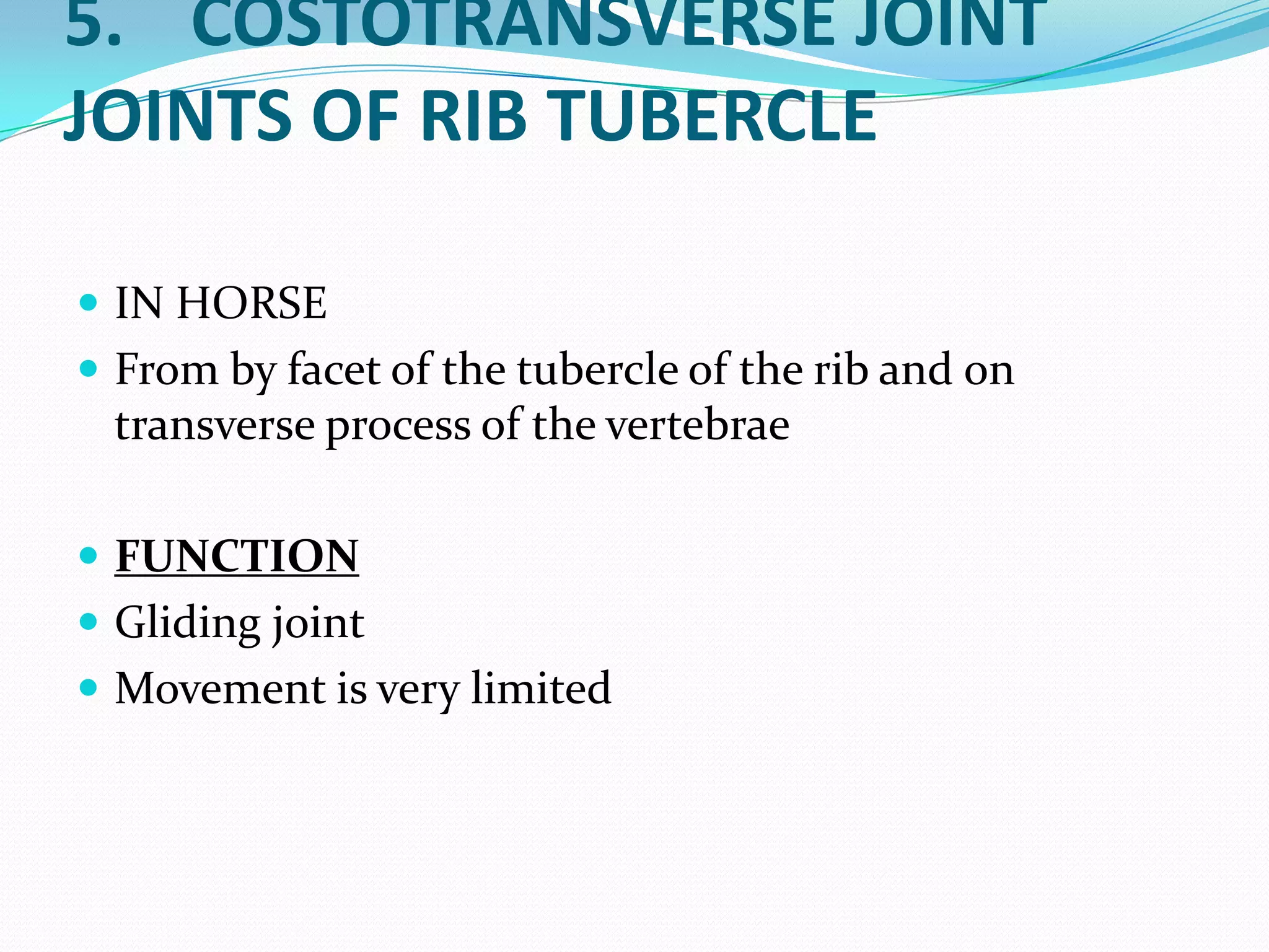 Articulations of the_vertebral_column_and_ribs | PPTX