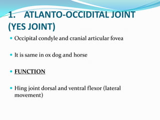 Articulations of the_vertebral_column_and_ribs | PPTX