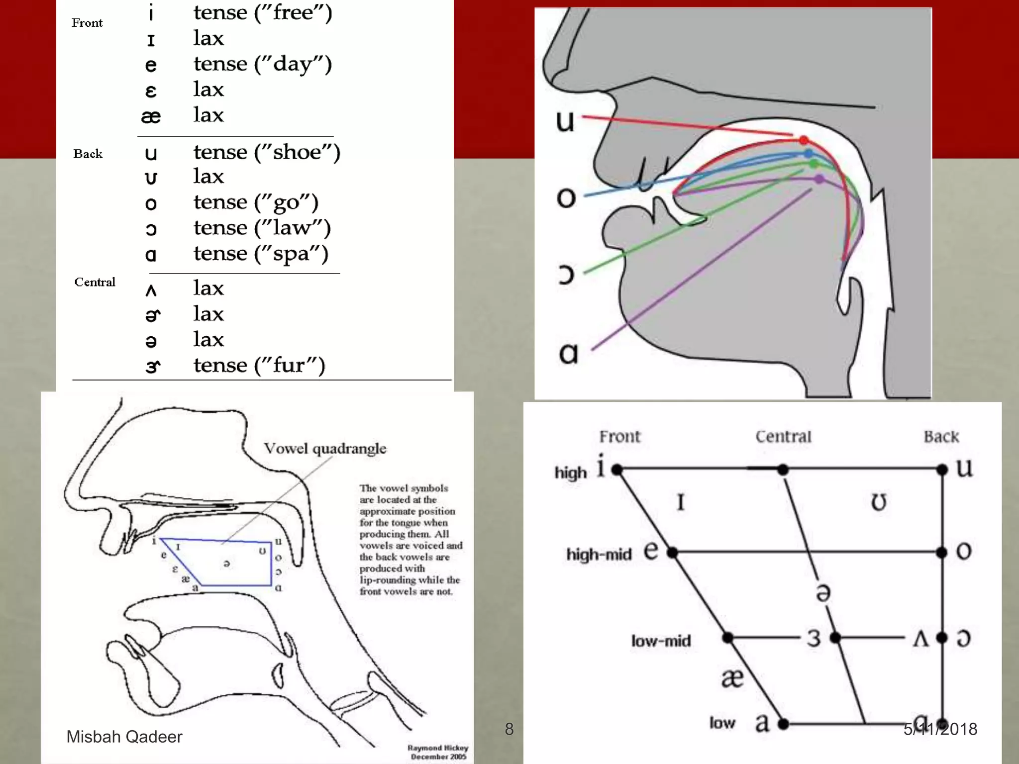 Articulatory Phonetics | PPTX