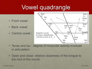 Articulatory Phonetics | PPTX