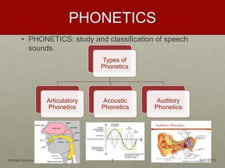 Articulatory Phonetics | PPT