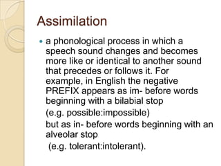 Articulatory process | PPT