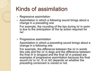 Articulatory process | PPT