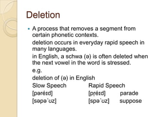 Articulatory process | PPT