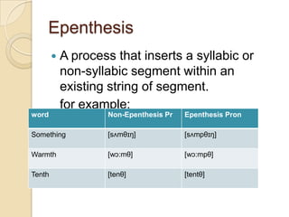 Articulatory process | PPT