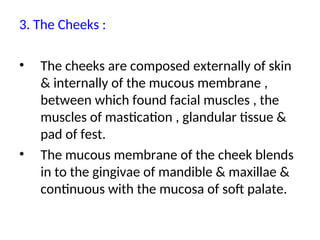 Speech Articulatory System and their structure and function | PPT