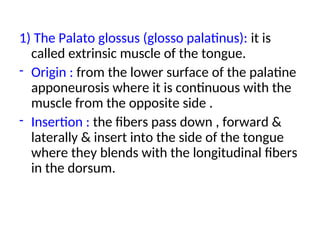 Speech Articulatory System and their structure and function | PPT