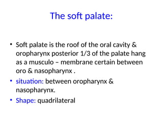articuLATORY SYSTEM, Speech articulation | PPT