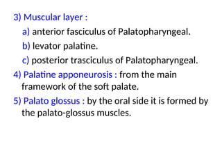 articuLATORY SYSTEM, Speech articulation | PPT