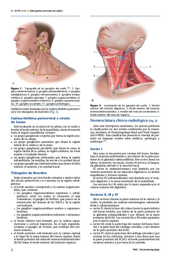 Articulo 4 Adenopatias del cuello.pdf