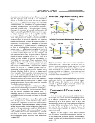 Articulo bueno en word.en.es