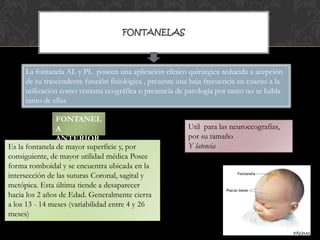 Articulo cientifico de fontanelas fetales | PPTX