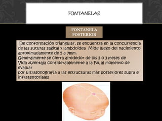 Articulo cientifico de fontanelas fetales | PPTX
