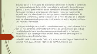 Articulo exposición metabolismo del calcio | PPTX