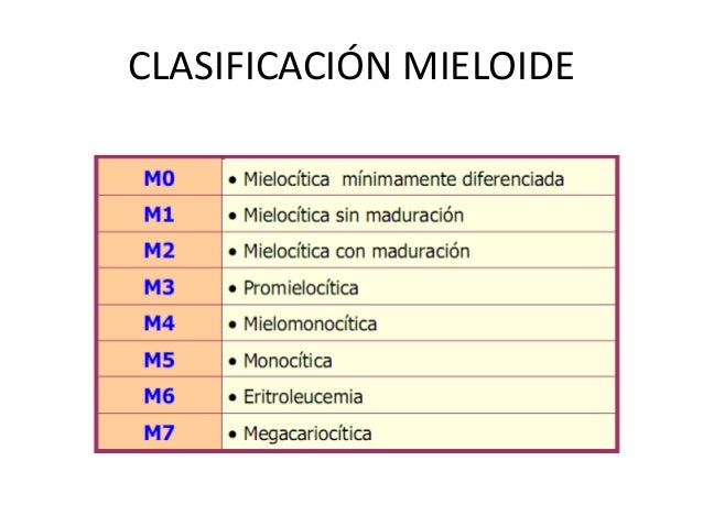 clasificacion leucemias FAB