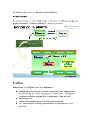 Articulo prep agraria.pe