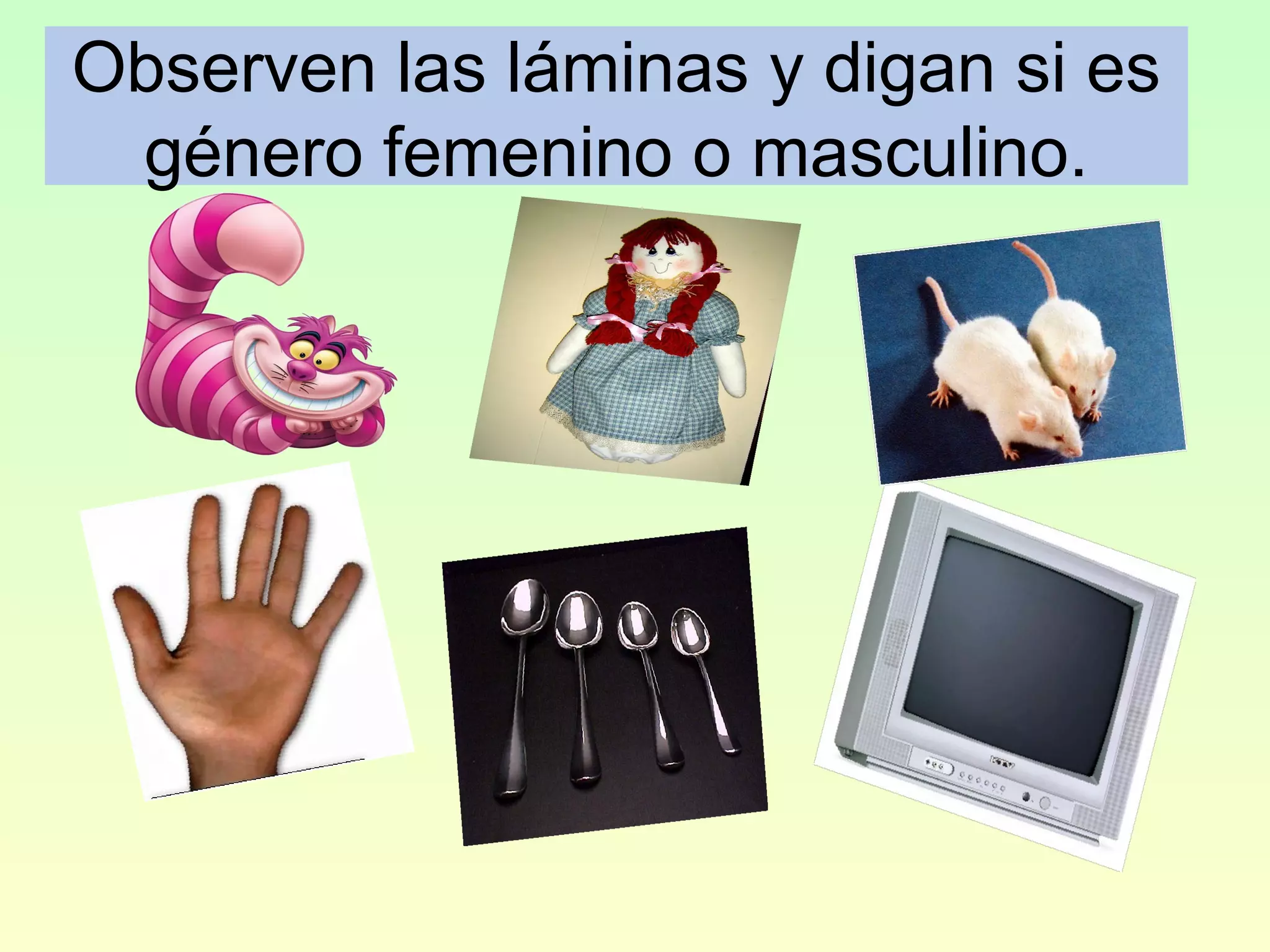 Articulos definidos indefinidos | PPT