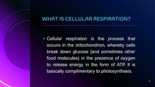 Energy production in Cells: Cellular Respiration Overview | PDF