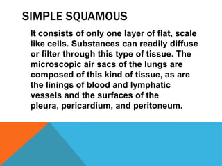 Artifact4 | PPTX | Brain and Nervous System Disorders | Diseases and ...