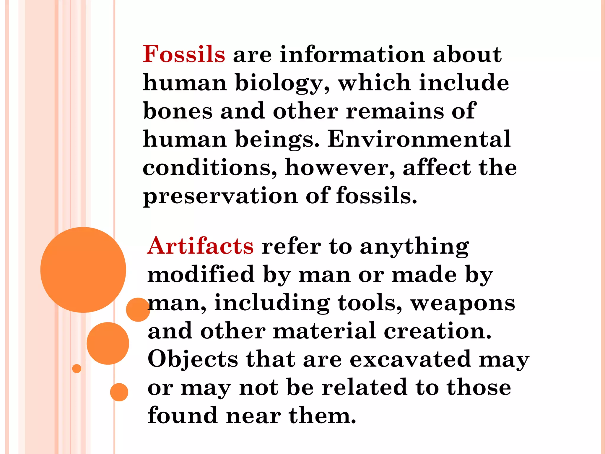Artifacts and fossils | PPS