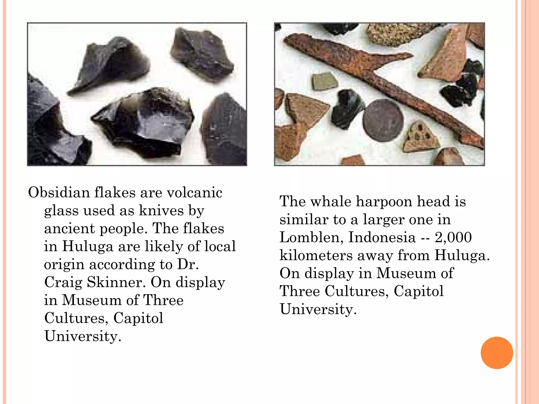 Artifacts and fossils | PPS