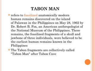 Artifacts and fossils | PPS