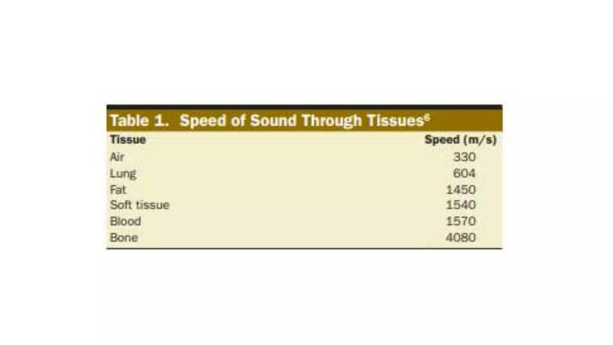 ARTIFACTS IN ECHO-1.pptx