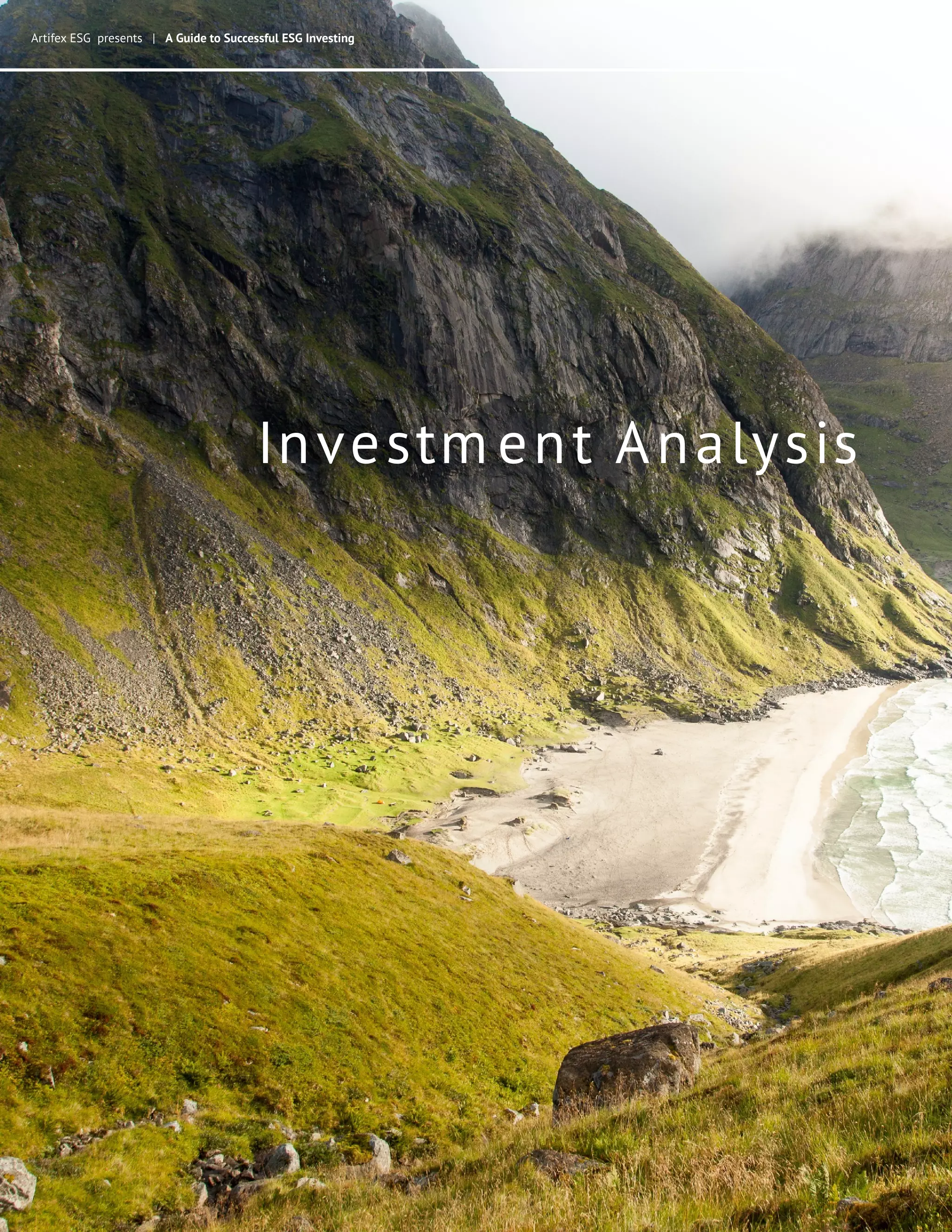 Artifex guide to succesful esg investing | PDF