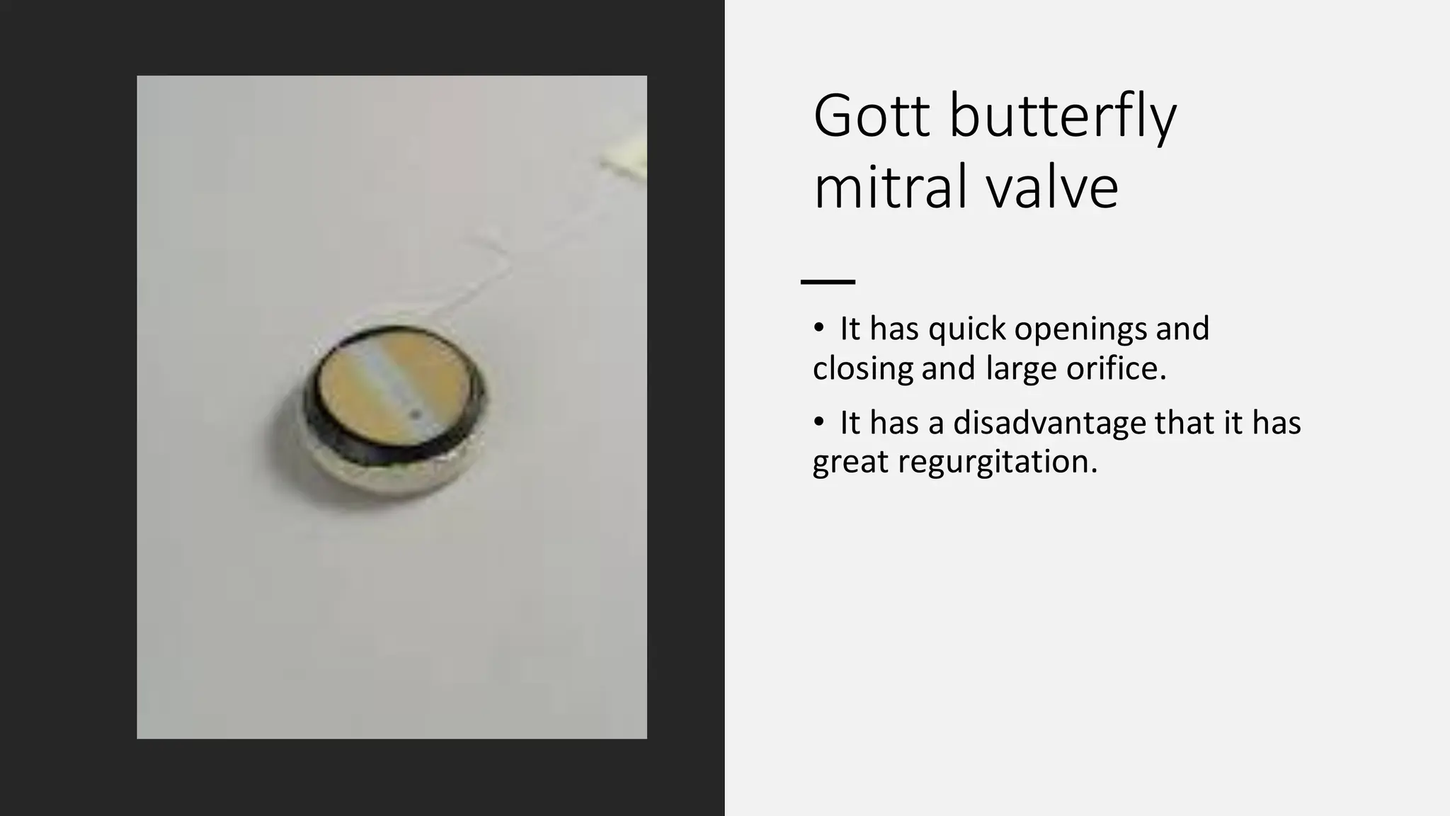 artifical heart valve | PDF