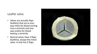 artifical heart valve | PDF